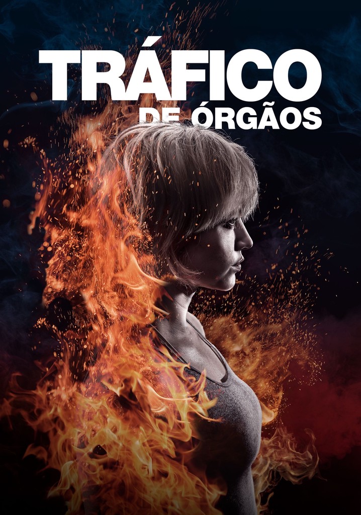 Burn It All filme - Veja onde assistir online